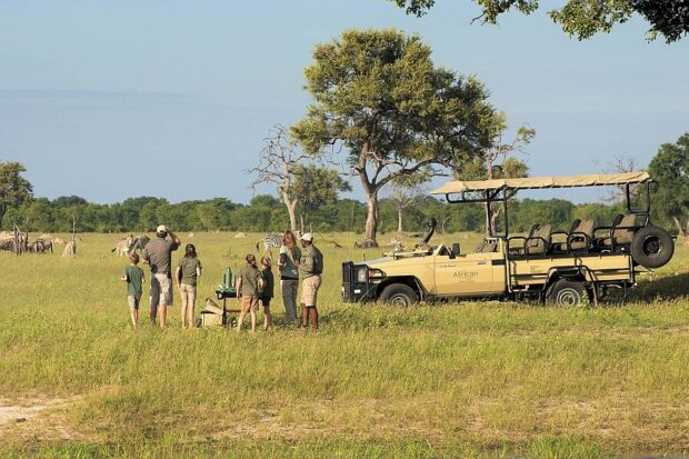 2 Weeks In Botswana Itinerary - The Best Place to Travel